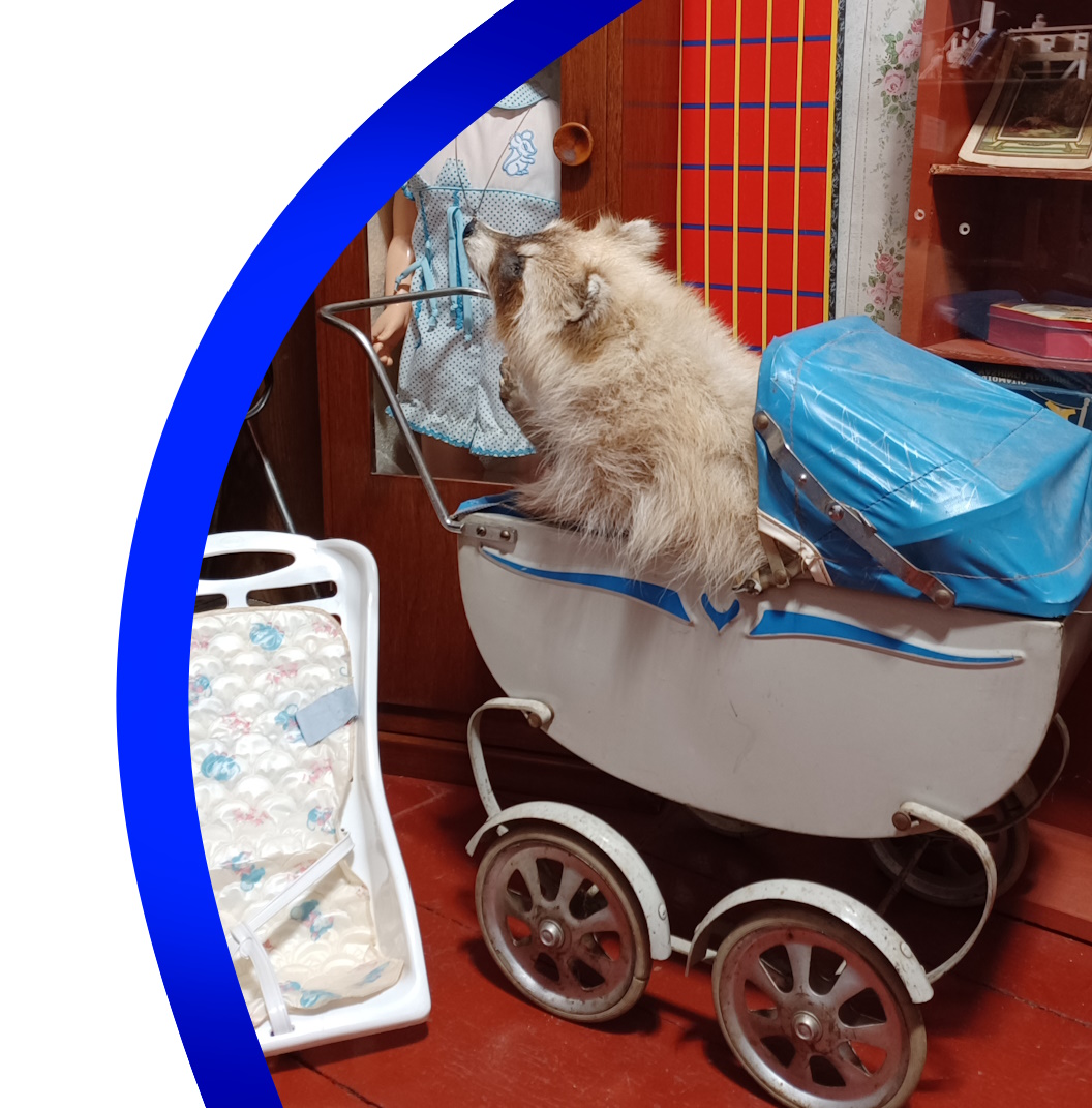 Toy Room – Bancroft North Hastings Heritage Museum / Hastings North ...